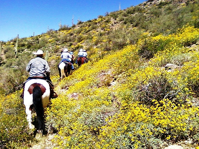 Giddy up through fields of gold! These riders are living out every cowboy movie fantasy, minus the cattle rustlers and uncomfortable chaps. 