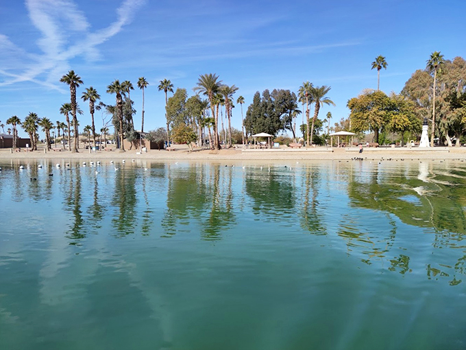 Palm trees and placid waters&mdash;is this Arizona or a desert mirage? Pinch yourself, folks, it's 100% real!