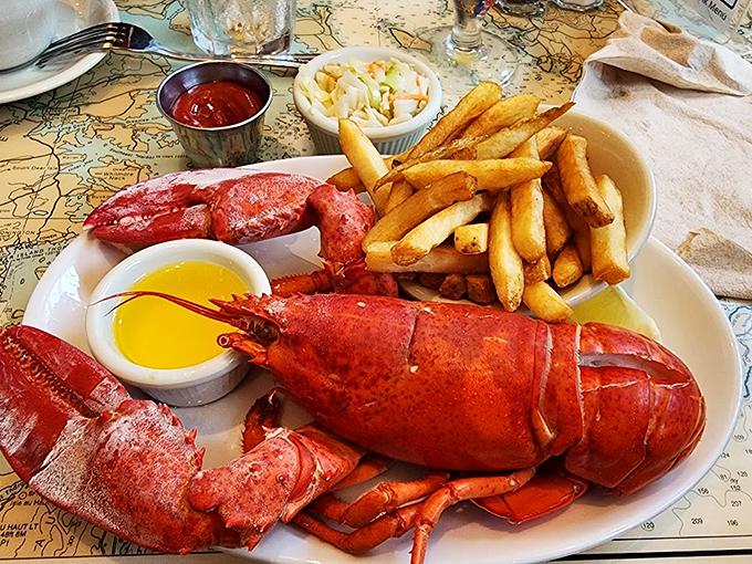This lobster's not just dinner, it's a Maine event - complete with drawn butter that's basically liquid gold. Photo credit: Maxim Nekrasov