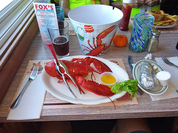 When your lobster dinner arrives looking like it just posed for a magazine cover. Complete with drawn butter and coastal views.