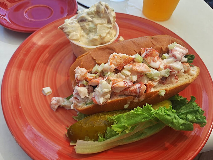 The classic Maine lobster roll in all its glory - chunks of sweet meat, light mayo, crisp lettuce, and that perfectly toasted bun.