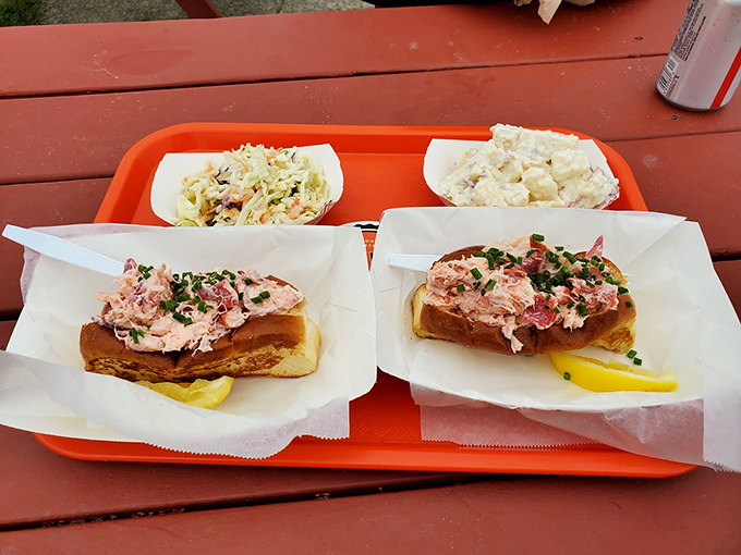 A feast fit for Neptune himself: Classic lobster rolls flanked by creamy coleslaw and potato salad that'll make you forget your manners. Photo credit: Michael Chrusniak