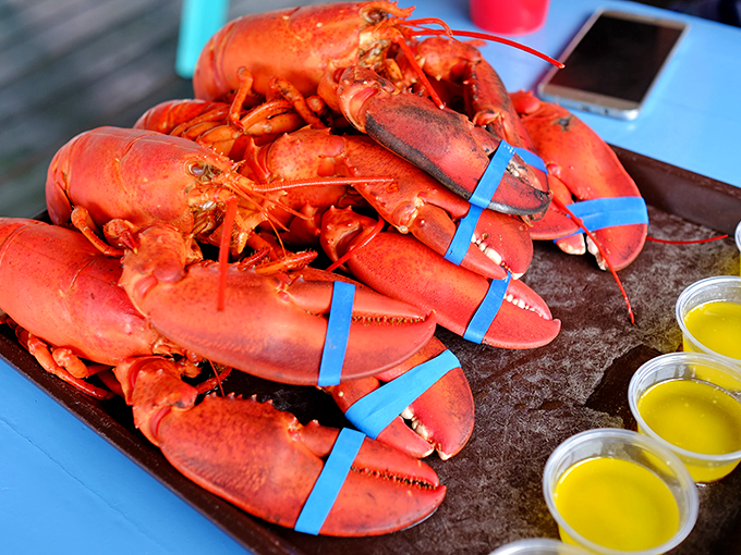 These lobsters are so fresh, they probably have better tans than you do. Get ready for a claws-om feast!