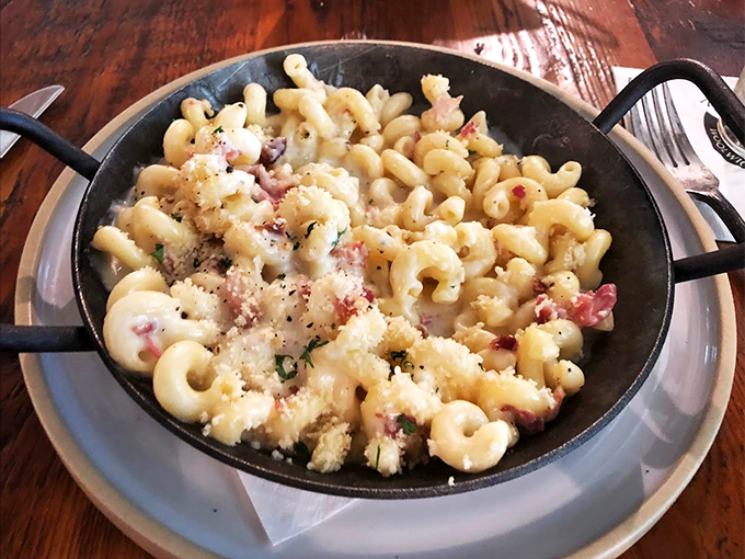 Creamy pasta perfection that would make your grandmother proud, with each spiral cradling just the right amount of sauce.