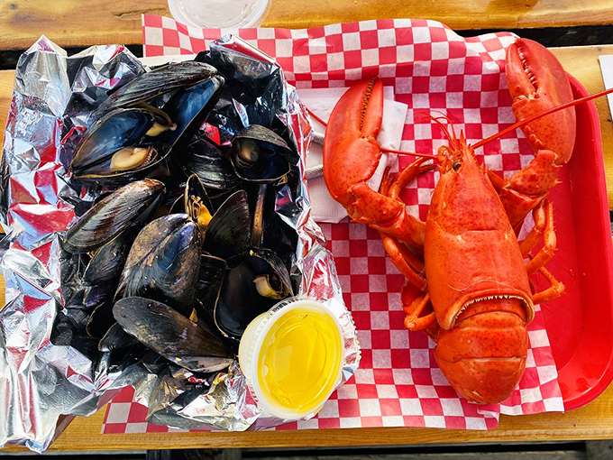 The dynamic duo of the sea: plump mussels and a perfectly steamed lobster, ready for their starring role.