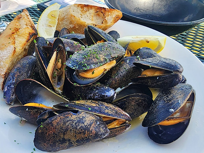 A dozen glistening mussels huddle together in their aromatic bath, ready to share their secrets with a chunk of crusty bread.