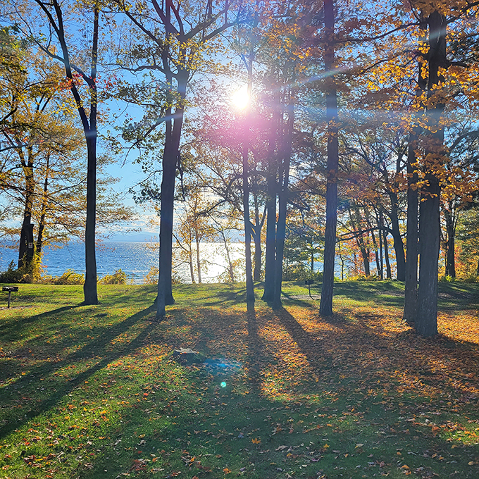 Where the trees put on a show that would make Broadway jealous. Standing ovation, please!