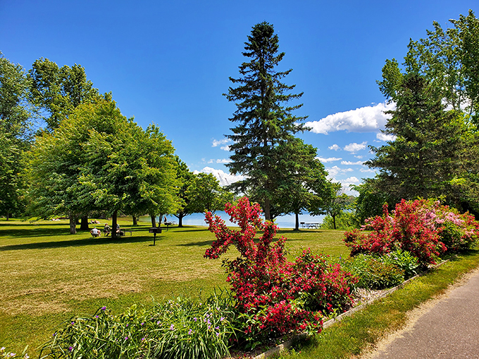 Vermont's version of Eden: Where trees stand tall, flowers bloom wild, and picnic tables await your gourmet PB&J. No apple-picking drama here, folks.