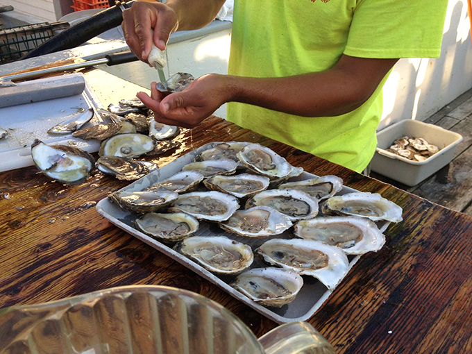 Oysters on ice – nature's briny shot glasses. Each one's like a tiny taste of the ocean, minus the sand in your shorts.