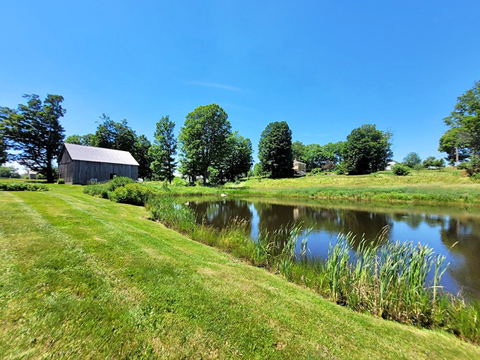 A serene pond reflects the Vermont sky, while an old barn stands guard like a faithful sentinel of simpler times.