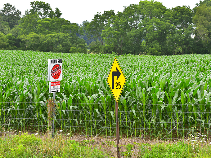 Follow the signs to Zihuatanejo… or at least to the next stop on the Shawshank Trail. Adventure awaits!