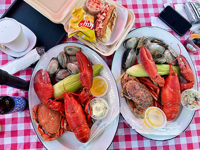 A feast fit for Poseidon himself - fresh lobster, steamed clams, and corn on the cob create an edible seascape. Photo credit: Wentong Li