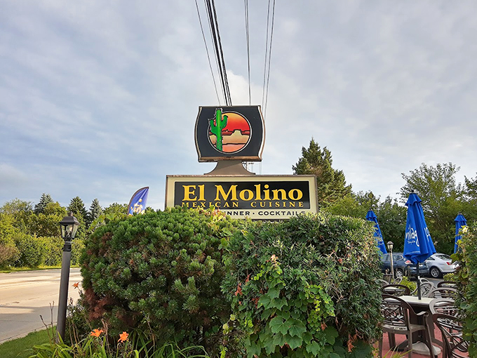 The iconic cactus sign has been guiding hungry travelers to this suburban oasis since 1984.