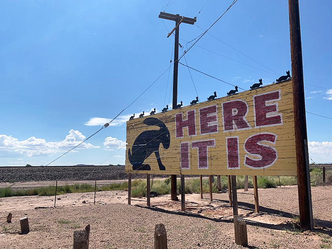 "HERE IT IS" - Three simple words that have beckoned curious travelers off the highway for generations.