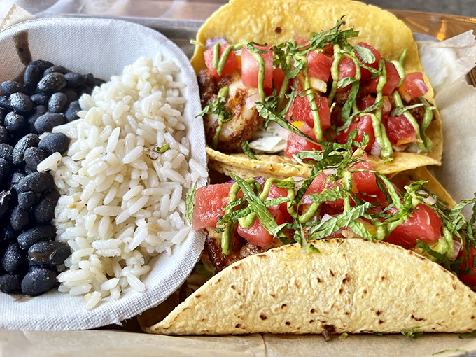 Fresh, vibrant tacos paired with rice and beans - a plate that proves Maine knows more than just lobster rolls.