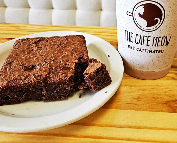 Brownies so good, even the cats are jealous. These chocolatey squares are the purr-fect companion to your "Meow-cha Latte."