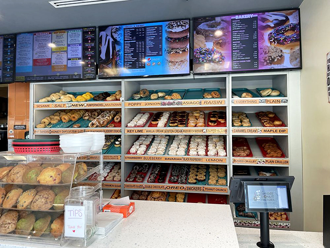 Donut heaven exists, and it's right here! From classic glazed to wild creations, there's a ring for every mood.