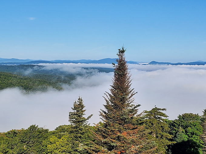 Cloud nine, literally: When Mother Nature decides to throw a misty party, and you've got a front-row seat to the show.
