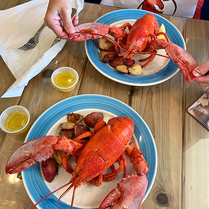 "Shell" we dance? These ruby-red beauties are ready for their close-up&mdash;and your plate. Butter at the ready, it's time for a crustacean celebration! Photo credit: AriRodriguez