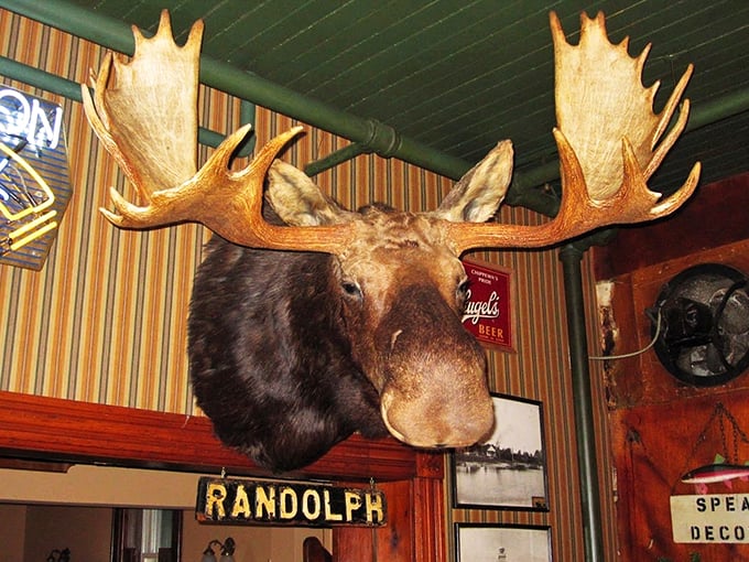 Say hello to Randolph, Sleder's antlered ambassador! Legend has it, a smooch on his snout brings good luck (and possibly a few odd looks).