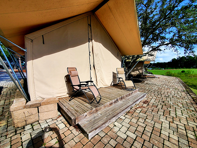 Who needs a five-star hotel when you've got a million-star sky? These tents redefine 'room with a view'. Photo credit: Koren Daniels