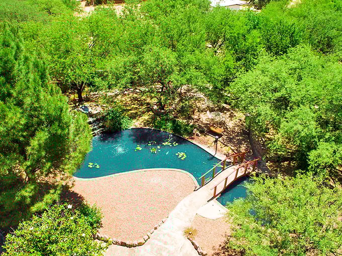 Tubac's secret garden: A hidden oasis where tranquility comes with a side of lily pads. This serene spot is perfect for contemplating life's big questions.