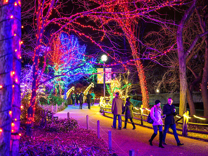 Forget the yellow brick road! This purple-hued path leads visitors through a magical realm that would make Oz look downright dull.