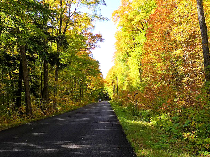 Green means go! This emerald tunnel is nature's way of saying, "Adventure this way, folks!" Photo credit: SuperiorTrails