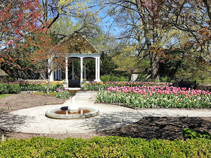 Tulip mania in full swing! This colorful display is like nature's version of a Skittles commercial &ndash; taste the rainbow!