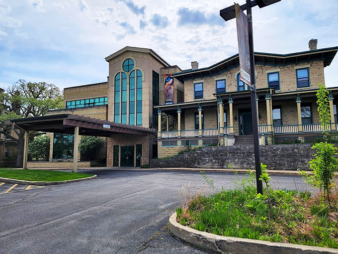 Jurassic spark! Rockford's natural history hotspot brings prehistoric pals back to life in a grand old mansion.