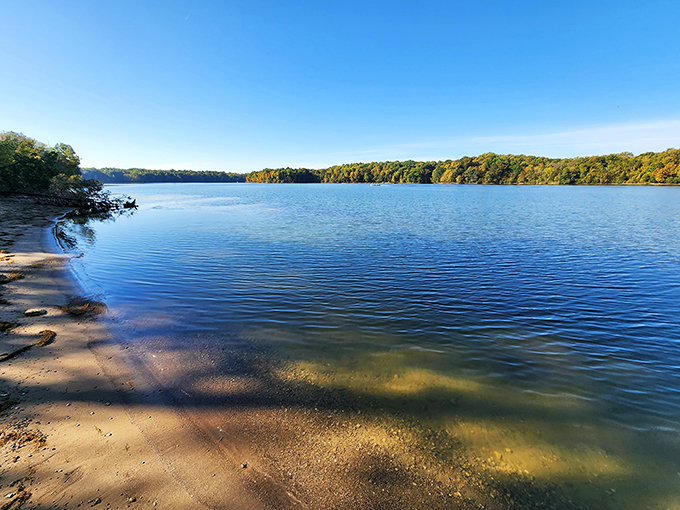 Lake views for days! This watery wonderland is where beach bums and forest rangers unite. Time to channel your inner explorer!