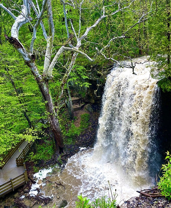 The waterfall that never takes a day off. Rain, shine, or polar vortex, this cascade keeps on keepin' on.