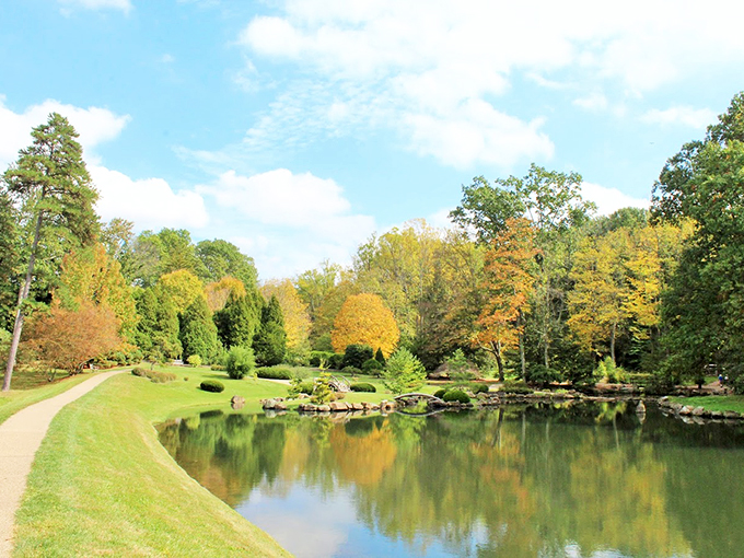 Nature's "I Spy" game! Can you spot the abstract sculpture hiding among the daffodils in this botanical treasure hunt?