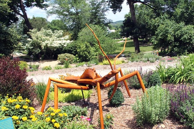 Experience the wonder of nature as you wander through the breathtaking landscapes and unique displays at The Dawes Arboretum today.