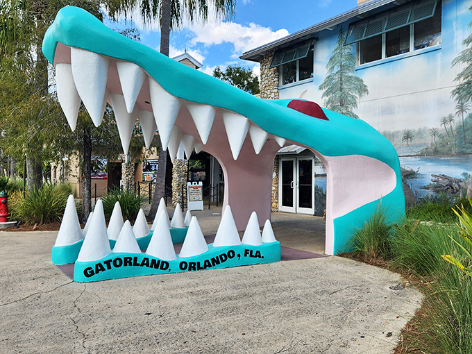 Snap up some gator-themed goodies! This shop bites... in the best way possible.