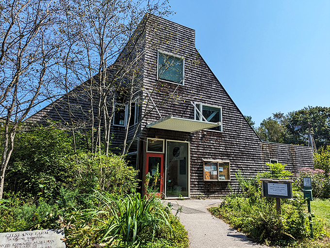 Gilsland Farm: Where birds throw red-carpet events and butterflies are the paparazzi.