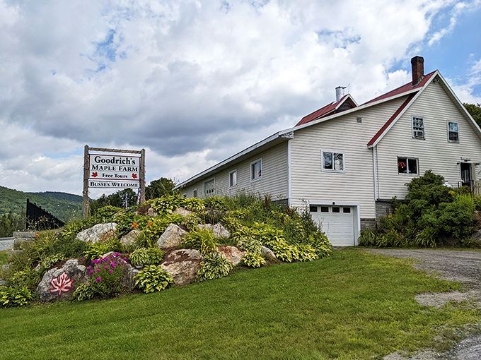 Goodrich's Maple Farm: Where liquid gold flows freely and maple dreams come true, one sweet drop at a time.