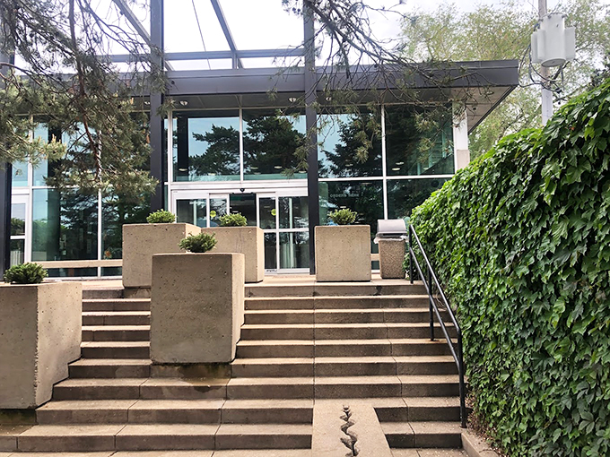 Custard's last stand? More like custard's best stand! This sleek spot serves up creamy delights for the modern age. Photo credit: Shahed Zaman