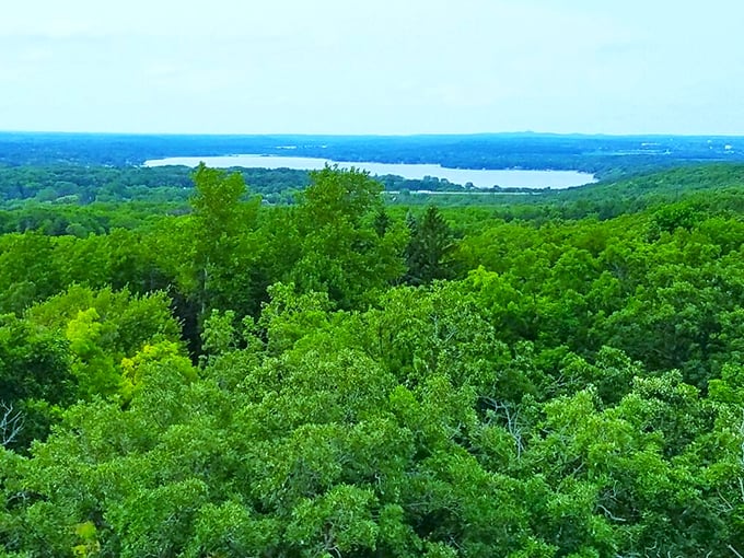 Treetop treasures await! Lapham Peak's tower is like a treehouse for grown-ups, with views that'll make you feel like a kid again.