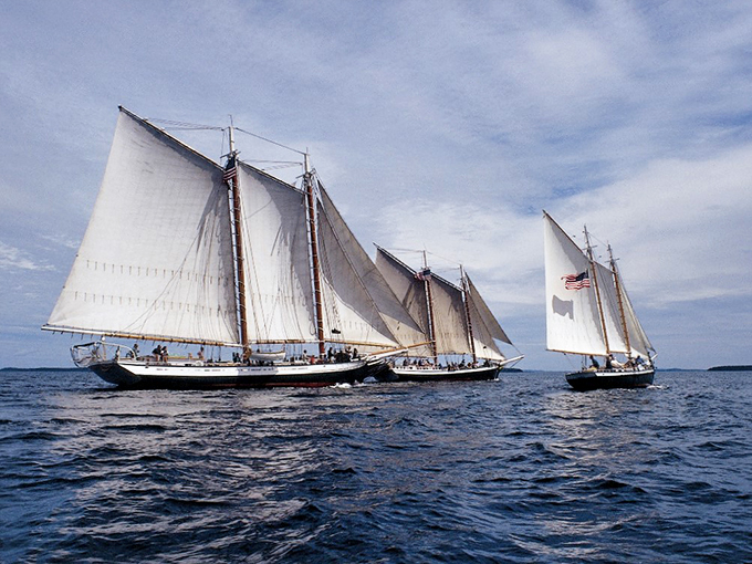 Ahoy, mateys! These majestic schooners are proof that sometimes the journey is more beautiful than the destination.