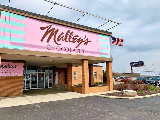 Pink building, giant silos &ndash; it's not a Barbie dreamhouse, it's better. Malley's is where chocolate fantasies come true!