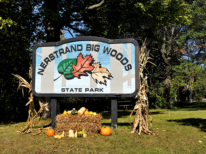 Step into a fairy tale at Nerstrand. These ancient woods whisper stories older than time itself. Photo credit: Steven Mosborg