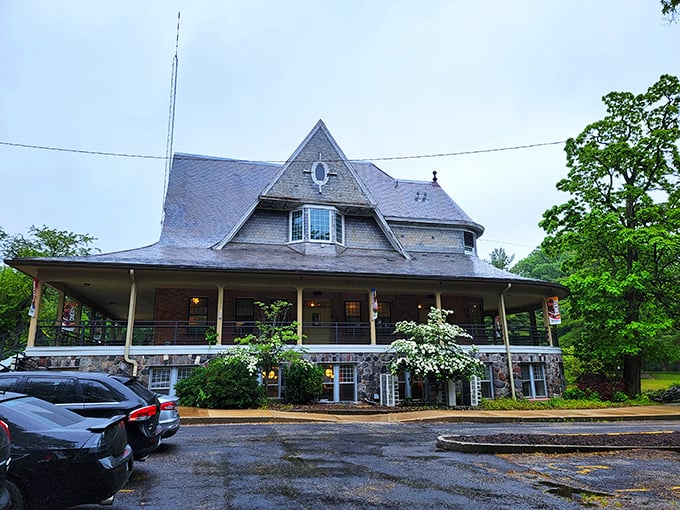 From farm to water play, it's a world of wonder! Who knew milking a cow could be this entertaining?