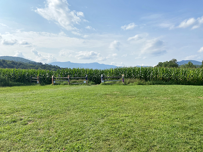 Where GPS fears to tread. Getting lost has never been so much fun!