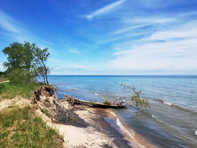 Six miles of golden sand and lighthouse views.Wisconsin's version of a tropical getaway.