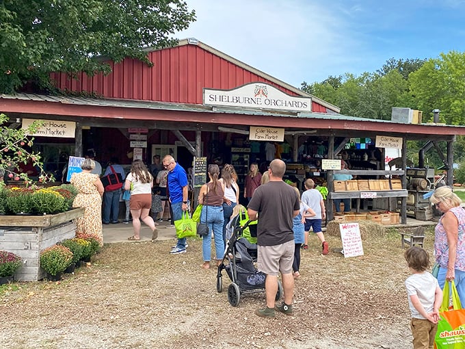 Sip, savor, repeat! This cider tasting room is where apple dreams come true.