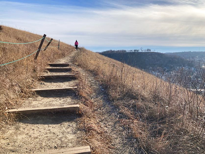 Stairway to heaven, Minnesota-style! Each step up Barn Bluff rewards you with views that'll make you forget about your burning calves. Photo credit: Scot Egg