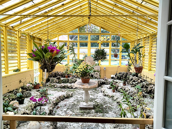 Greenhouse glam! This sunny spot's so inviting, even the orchids are showing off.