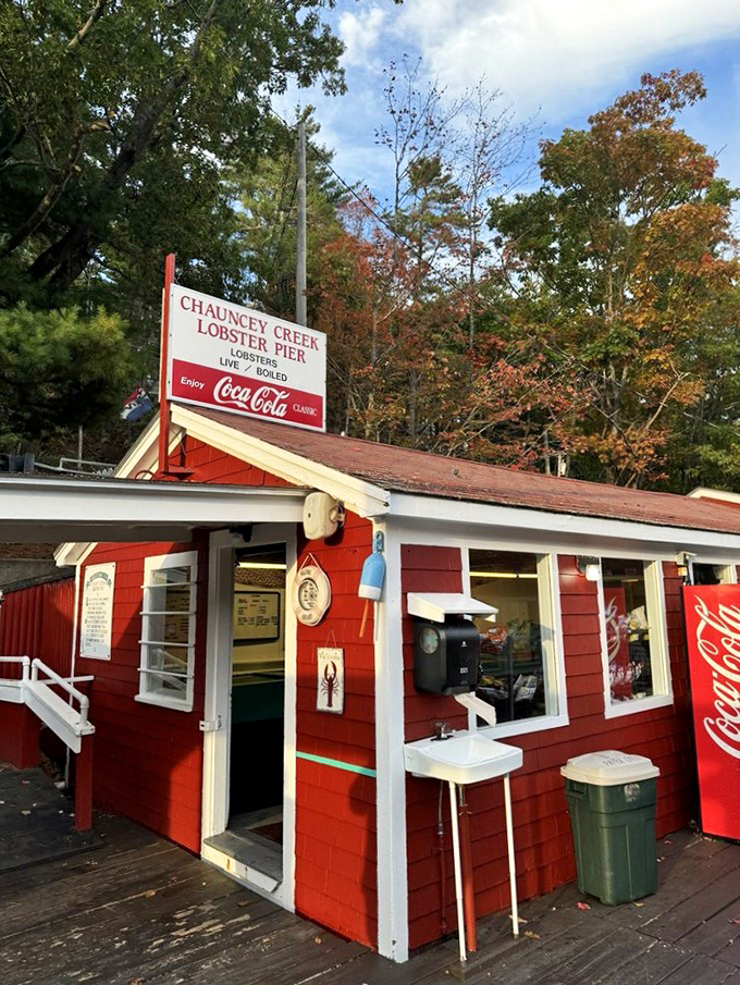 Fall colors and lobster flavors. Chauncey Creek proves that lobster season is always in season, no matter the weather.