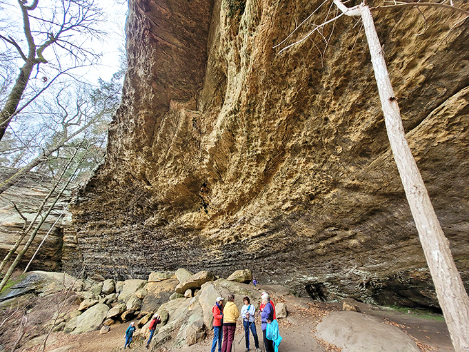 Lush greenery that'll make you forget you're in the Midwest. It's like a slice of the tropics, minus the coconuts. 